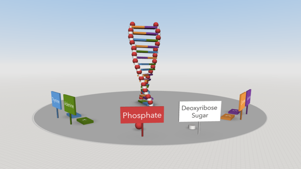 CoSpaces – TCEA TechNotes Blog