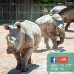 Texas Virtual Field Trips • TechNotes Blog