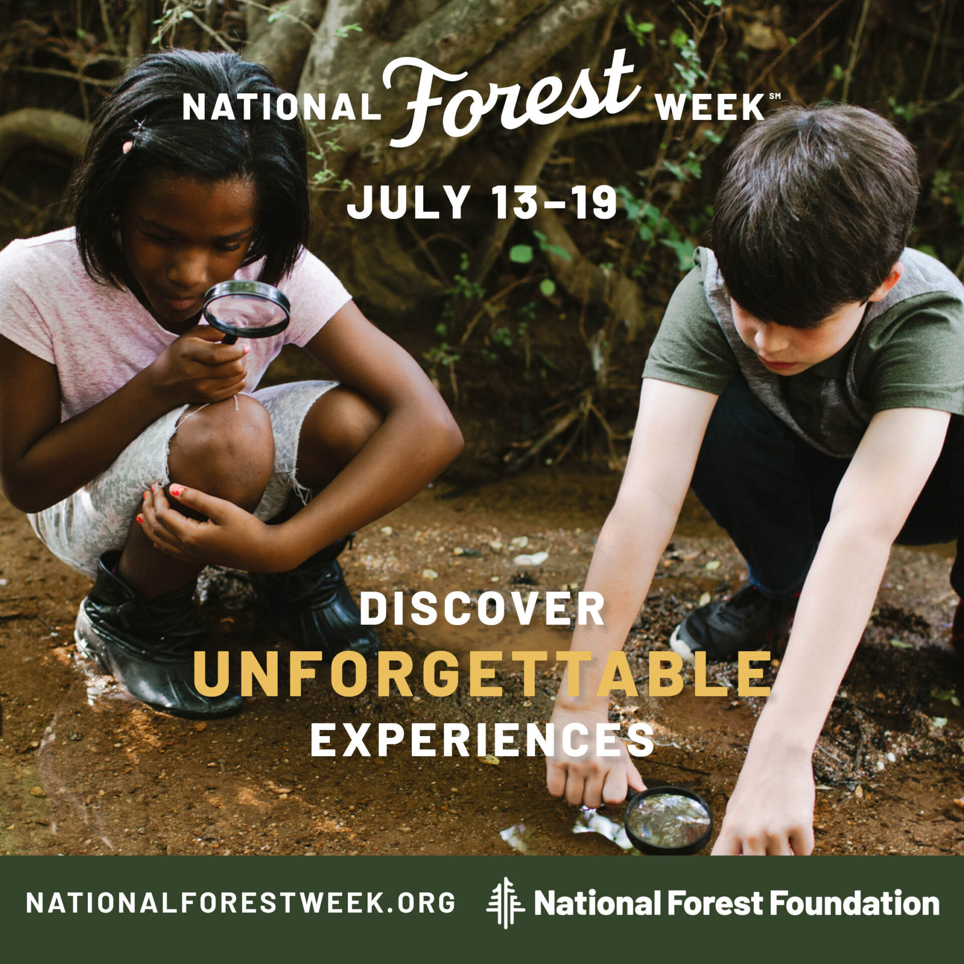 Celebrate National Forest Week – TCEA TechNotes Blog
