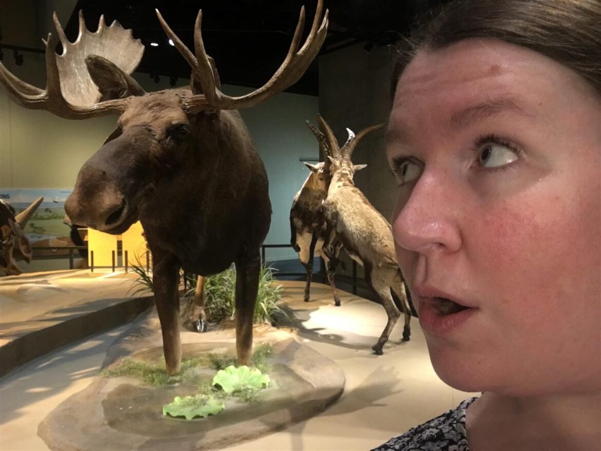 We're Getting the Gang Back Together Again! – TCEA TechNotes Blog