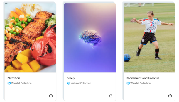 Customize Your Wakelet Collection with Google and Canva – TCEA ...