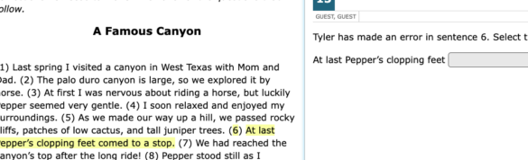 Reading Language Arts STAAR Test Resources – TCEA TechNotes Blog