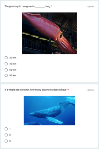 How to Give Instant Feedback with Google Forms – TCEA TechNotes Blog