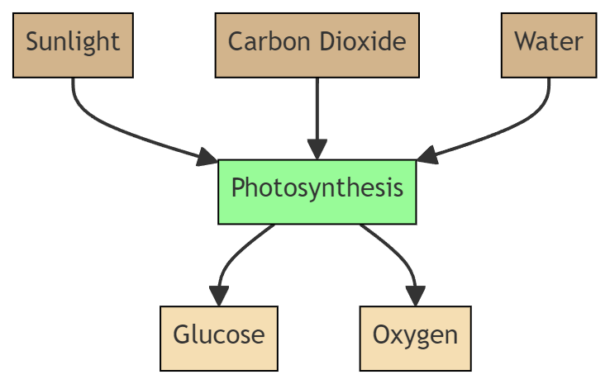 SIOP Model and Digital Tools – TCEA TechNotes Blog